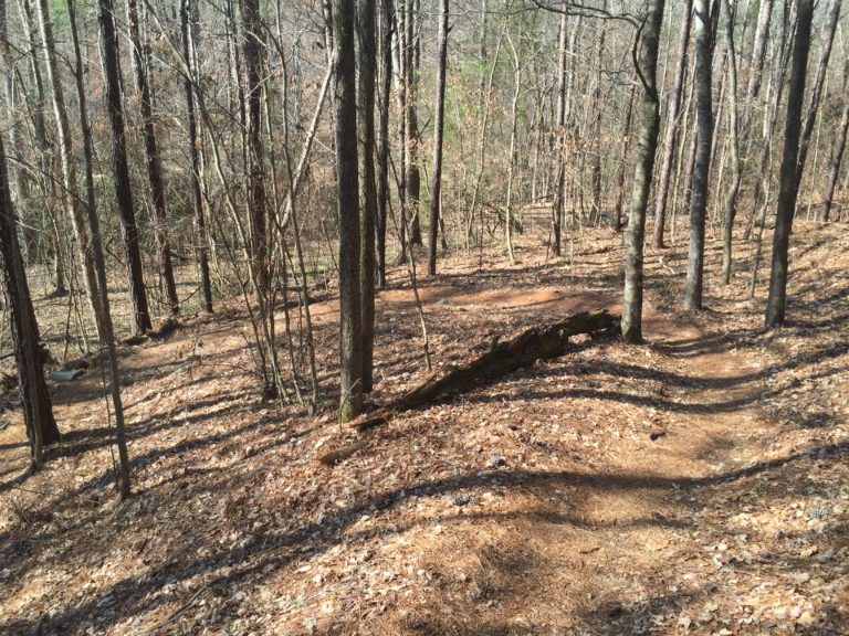 Pig Trail (Children’s Home) – OMBA